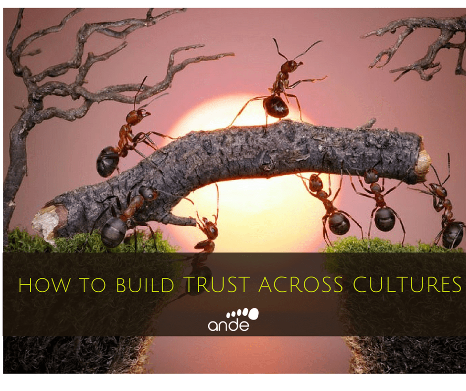 How To Build Trust Across Cultures? - aNDE